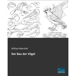 Der Bau der Vögel - William Marshall, Kartoniert (TB)