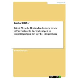 GRIN Triest: Aktuelle Bestandsaufnahme sowie infrastrukturelle Entwicklungen im Zusammenhang mit der EU-Erweiterung - Bernhard Höfler, Kartoniert (TB)