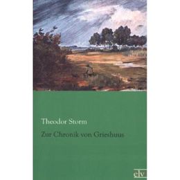 Zur Chronik von Grieshuus - Theodor Storm, Kartoniert (TB)