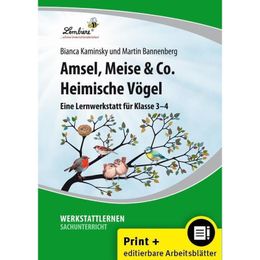 Amsel, Meise & Co: Heimische Vögel, m. 1 CD-ROM - B. Kaminsky, M. Bannenberg, Gebunden