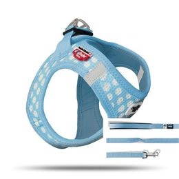 Curli Hunde-Geschirr Vest Geschirr Puppy Set skyblue-circles