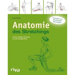 Riva Verlag Anatomie des Stretchings - Brad Walker, Kartoniert (TB)