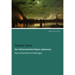 Der Schimmelreiter/Aquis submersus - Theodor Storm, Kartoniert (TB)