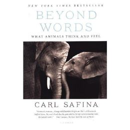 Beyond Words - Carl Safina, Kartoniert (TB)