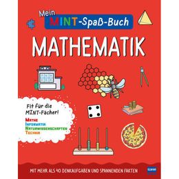 Mein MINT-Spaßbuch: Mathematik - Hannah Wilson, Kartoniert (TB)