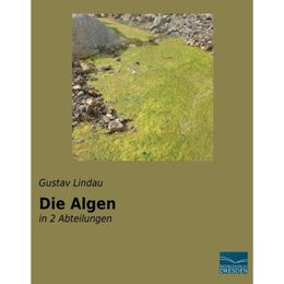 Die Algen - Gustav Lindau, Kartoniert (TB)