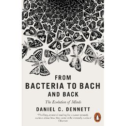 Penguin From Bacteria to Bach and Back - Daniel C. Dennett, Kartoniert (TB)