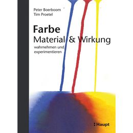 haupt Farbe: Material & Wirkung - Peter Boerboom, Tim Proetel, Gebunden
