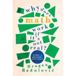 Why Does Math Work ... If It's Not Real? - Dragan Radulovic, Taschenbuch