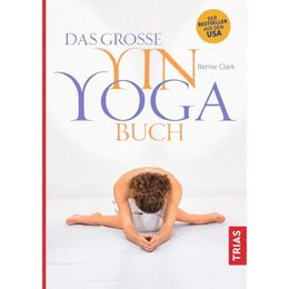 Trias Das große Yin-Yoga-Buch - Bernie Clark, Kartoniert (TB)