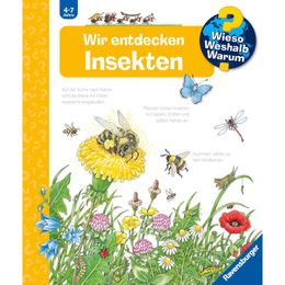 RAVENSBURGER VERLAG Wir entdecken Insekten / Wieso? Weshalb? Warum? Bd.39 - Angela Weinhold, Pappband