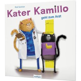 Kater Kamillo geht zum Arzt / Kater Kamillo Bd.3 - Rob Scotton, Gebunden