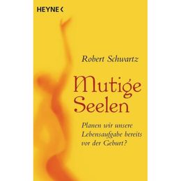 Mutige Seelen - Robert Schwartz, Taschenbuch