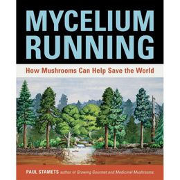 Penguin Random House Mycelium Running - Paul Stamets, Kartoniert (TB)