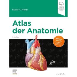 Atlas der Anatomie - Frank H. Netter, Gebunden