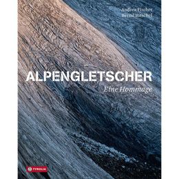 Alpengletscher - eine Hommage - Andrea Fischer, Gebunden