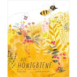 Die Honigbiene - Kirsten Hall, Gebunden