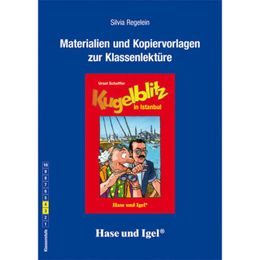 Materialien und Kopiervorlagen zur Klassenlektüre: Kugelblitz in Istanbul - Silvia Regelein, Kartoniert (TB)