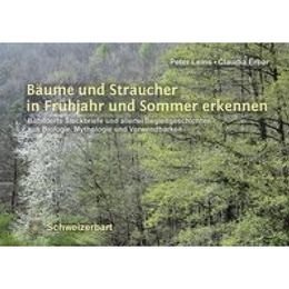 Bäume und Sträucher in Frühjahr und Sommer erkennen - Peter Leins, Claudia Erbar, Kartoniert (TB)