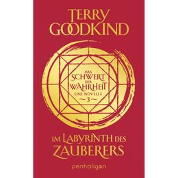 Im Labyrinth des Zauberers - Das Schwert der Wahrheit / Die Kinder von D’Hara Bd.3 - Terry Goodkind, Gebunden