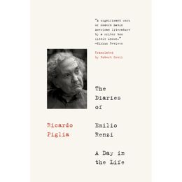 The Diaries of Emilio Renzi - Ricardo Piglia, Kartoniert (TB)