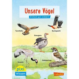Carlsen Verlag Pixi Wissen 108: VE 5 Unsere Vögel (5 Exemplare) - Bärbel Oftring, Kartoniert (TB)