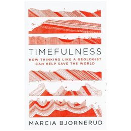 Princeton University Press Timefulness - How Thinking Like a Geologist Can Help Save the World - Marcia Bjornerud, Gebunden