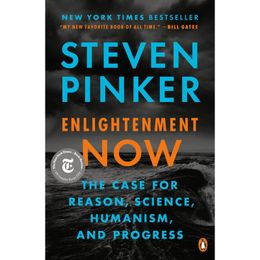 Enlightenment Now - Steven Pinker, Kartoniert (TB)