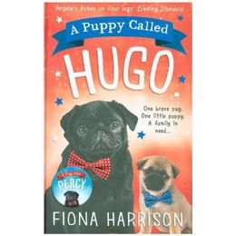 A Puppy Called Hugo - Fiona Harrison, Gebunden
