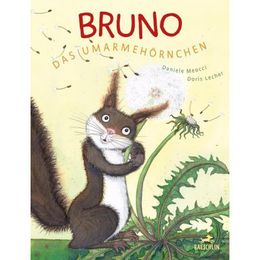 Bruno, das Umarmehörnchen - Daniele Meocci, Gebunden