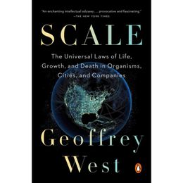 Scale - Geoffrey West, Kartoniert (TB)