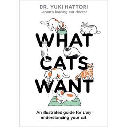 What Cats Want - Yuki Hattori, Gebunden