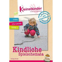 Die Praxismappe: Kindliche Spielschemata, Loseblatt