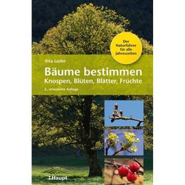 haupt Bäume bestimmen - Knospen, Blüten, Blätter, Früchte - Rita Lüder, Kartoniert (TB)