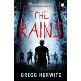 Penguin Rains Brothers / The Rains - Gregg Hurwitz, Kartoniert (TB)