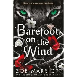 Barefoot on the Wind - Zoë Marriott, Kartoniert (TB)