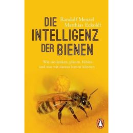Die Intelligenz der Bienen - Randolf Menzel, Matthias Eckoldt, Taschenbuch