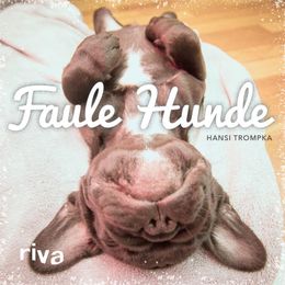 Riva Verlag Faule Hunde - Hansi Trompka, Gebunden
