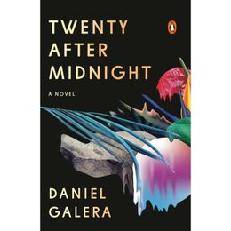 Twenty After Midnight - Daniel Galera, Kartoniert (TB)