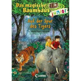 Loewe Verlag Auf der Spur des Tigers / Das magische Baumhaus junior Bd.17 - Mary Pope Osborne, Gebunden