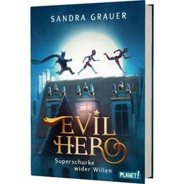 Evil Hero - Sandra Grauer, Gebunden