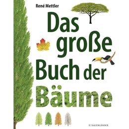 Das große Buch der Bäume - René Mettler, Gebunden
