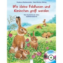 arena Kleine Feldhasen und Kaninchen werden groß, m. Audio-CD - Friederun Reichenstetter, Gebunden