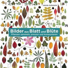 haupt Bilder aus Blatt und Blüte - Jennie Ashmore, Kartoniert (TB)