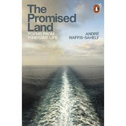 Penguin The Promised Land - André Naffis-Sahely, Kartoniert (TB)