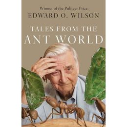 Norton Tales from the Ant World - Edward O. Wilson, Gebunden