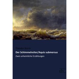Der Schimmelreiter / Aquis submersus - Theodor Storm, Kartoniert (TB)