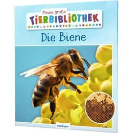Die Biene / Meine große Tierbibliothek Bd.10 - Paul Starosta, Gebunden
