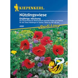 Kiepenkerl - Nützlingswiese Mischung - Blumensamen