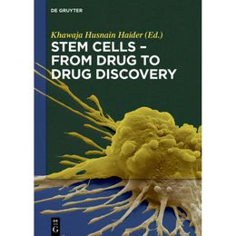 De Gruyter Stem Cells - From Drug to Drug Discovery, Gebunden